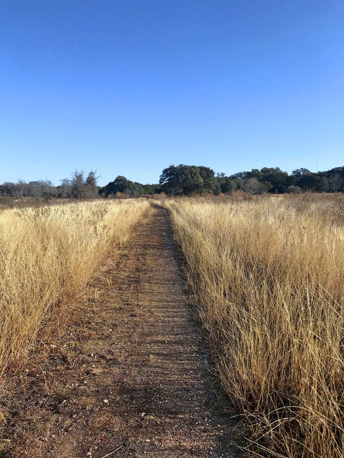 #22 – Overlook Trail at Lake Georgetown – Amy the Hiker